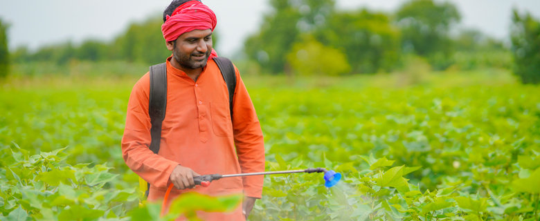 Marg Career Library - Crop Farmworkers and Labourers